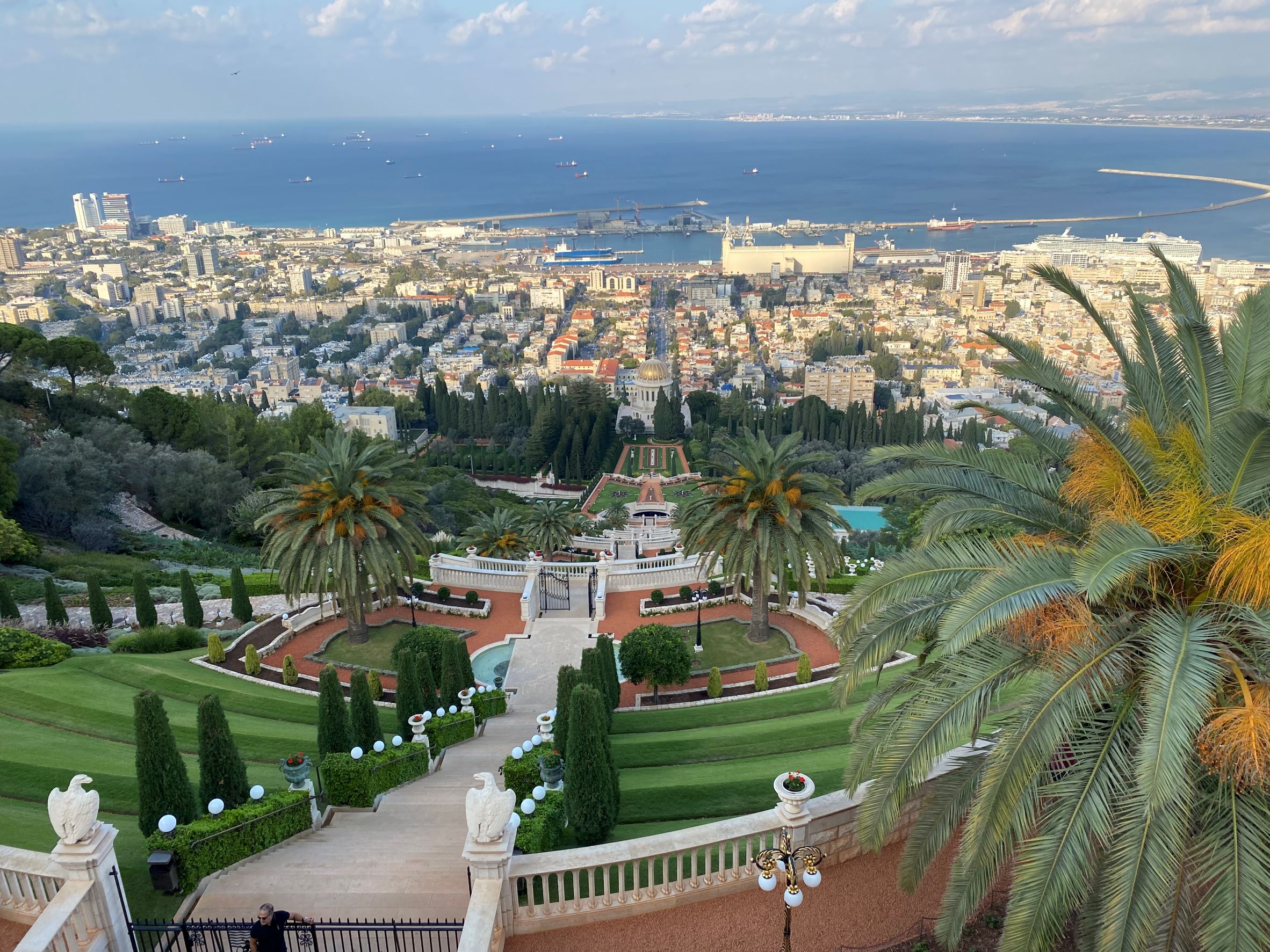 Israel: Birding Between Borders - Conservation Catalyst