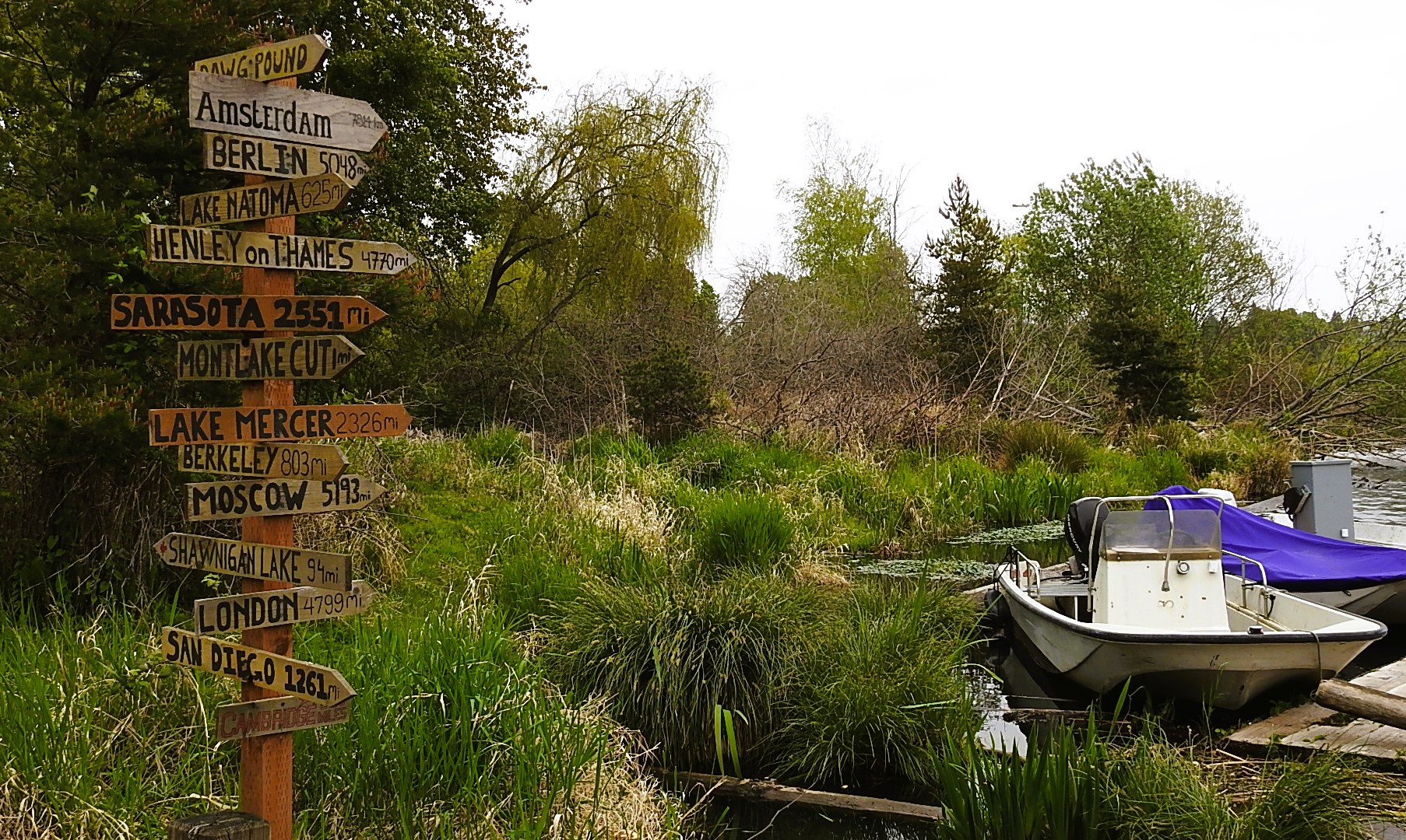 Phoebe Quest Leads to Rowing Mecca - Conservation Catalyst